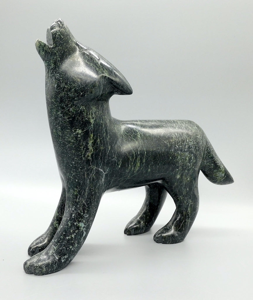 Howling Young Wolf-Mathew Flaherty – North End Gallery