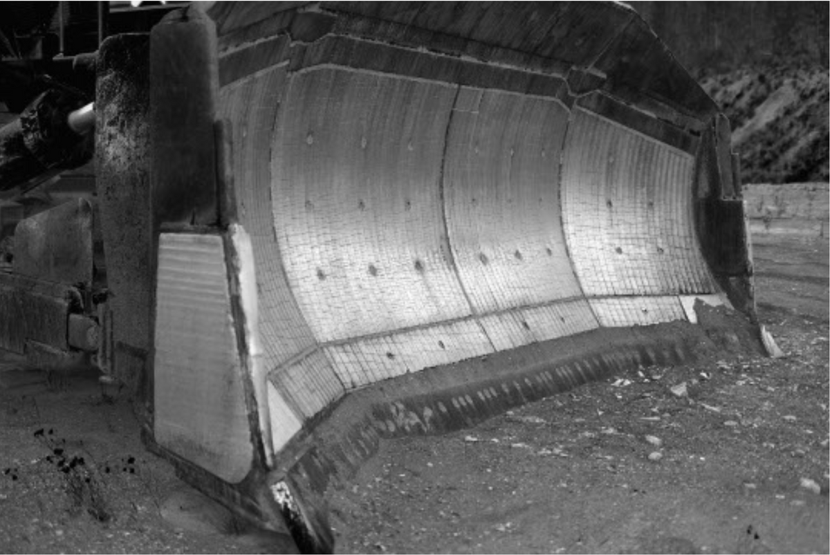 8.5x11 Cat Blade -6.5x9.75 Image Size – North End Gallery