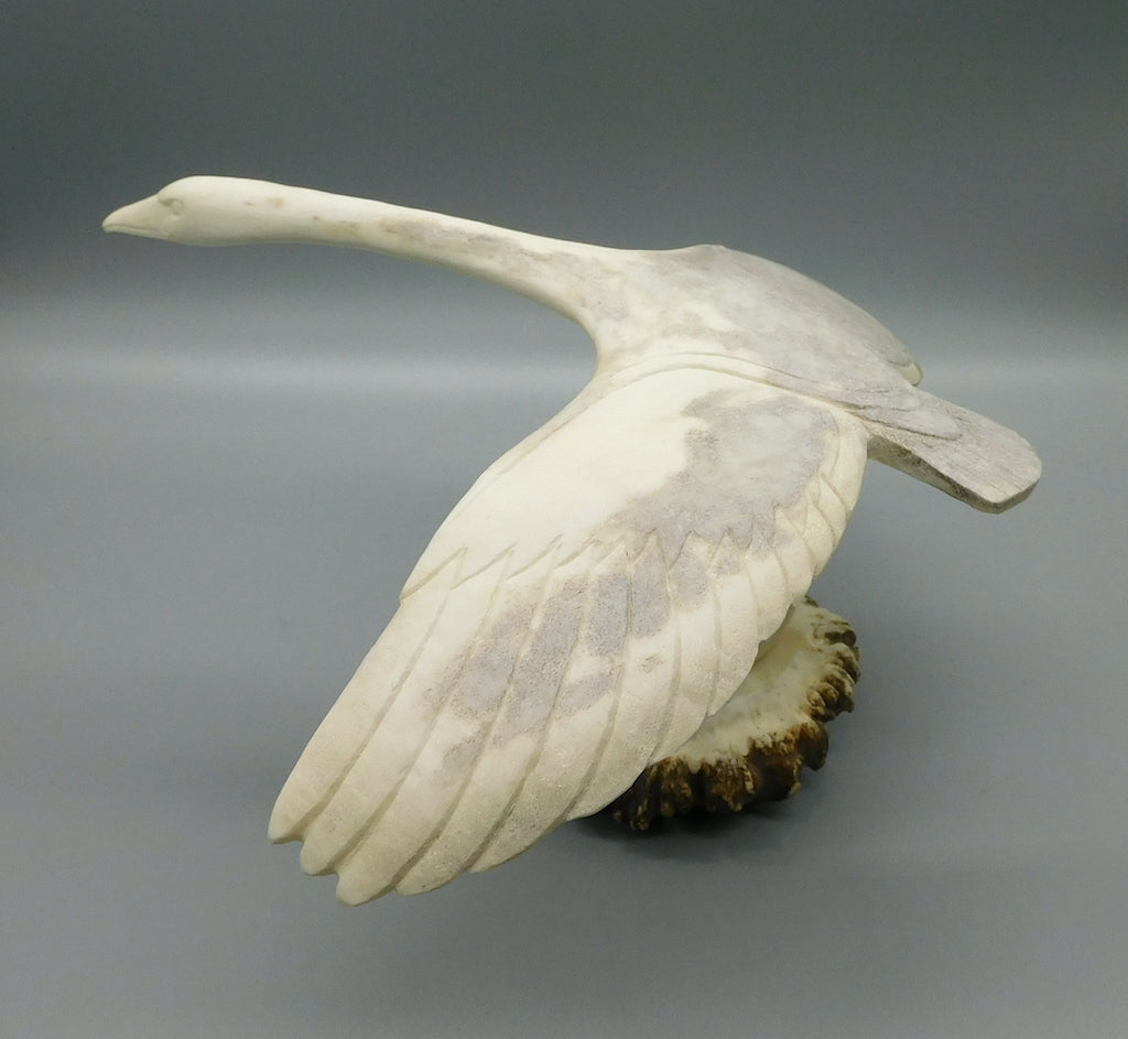 Swan in Flight-Caribou Antler on Moose Antler Base – North End Gallery
