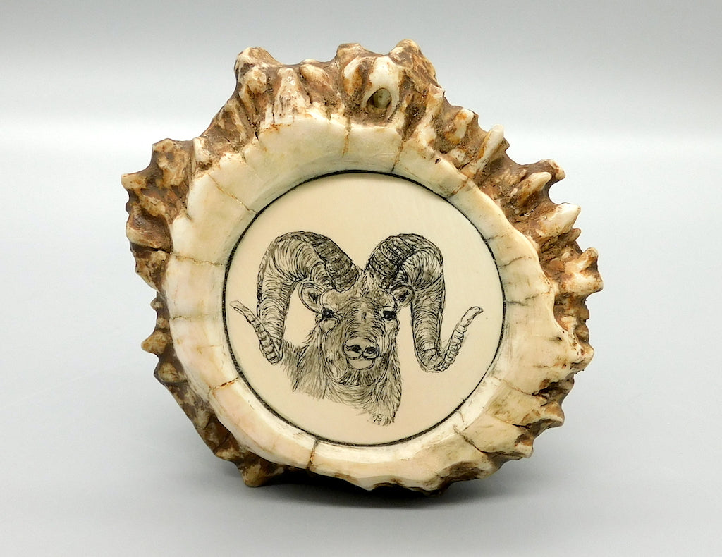Paperweight - Big Horn Sheep – North End Gallery