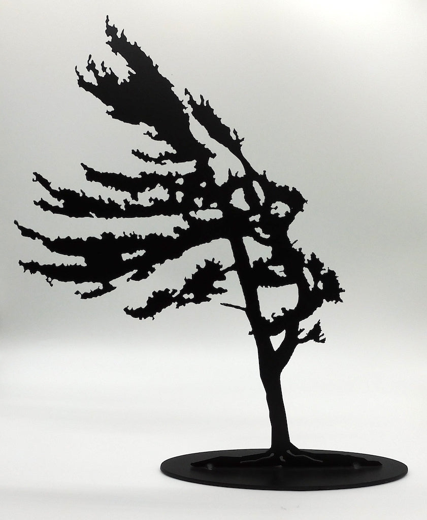 Windswept Pine – North End Gallery